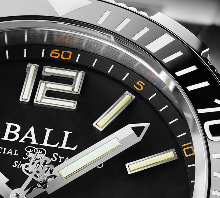 Record-breaking: A new model in honor of Brian Binnie: Engineer ...